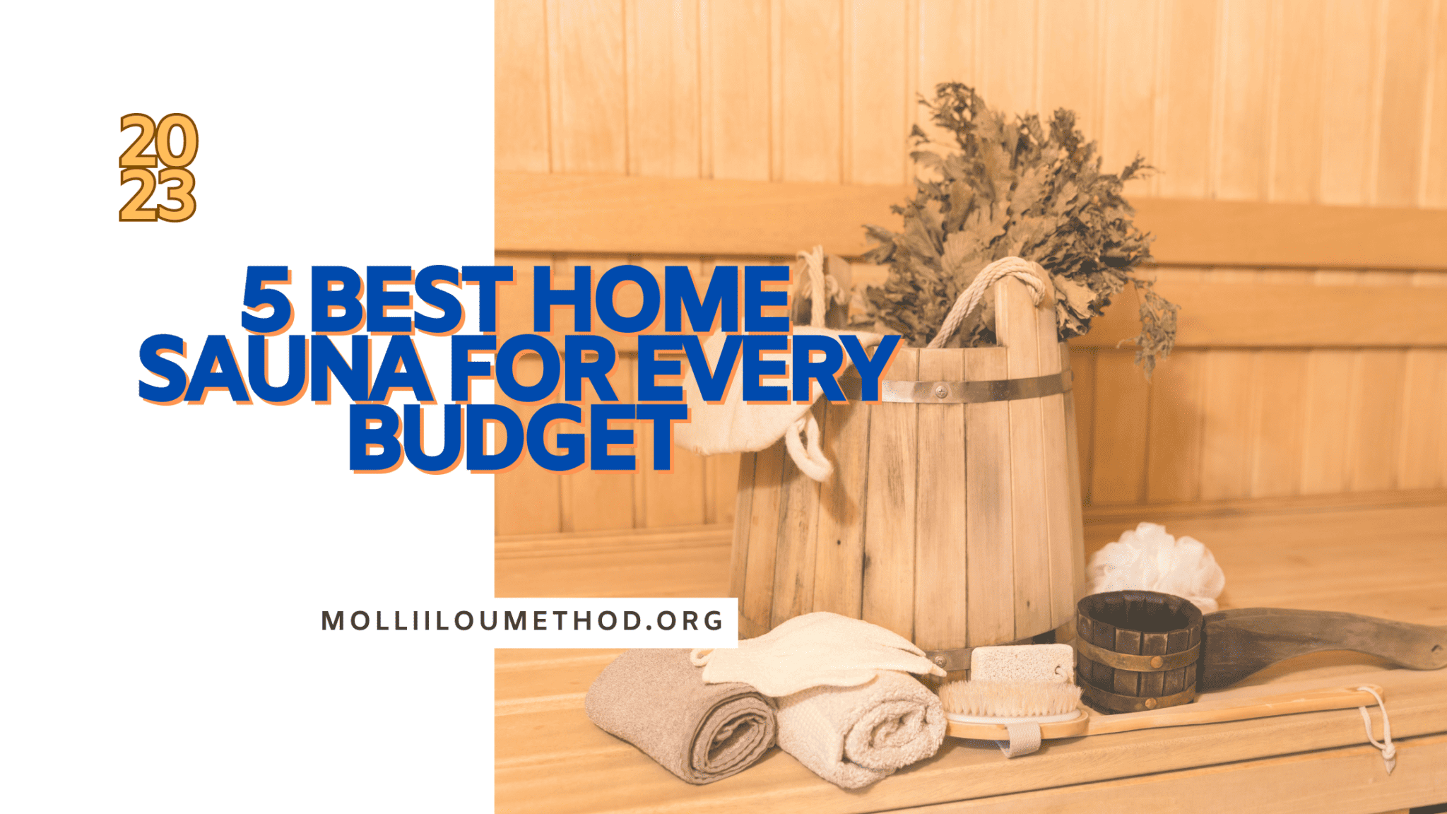 5 Best Home Sauna for Every Budget (2023) - Strategy Sculptors