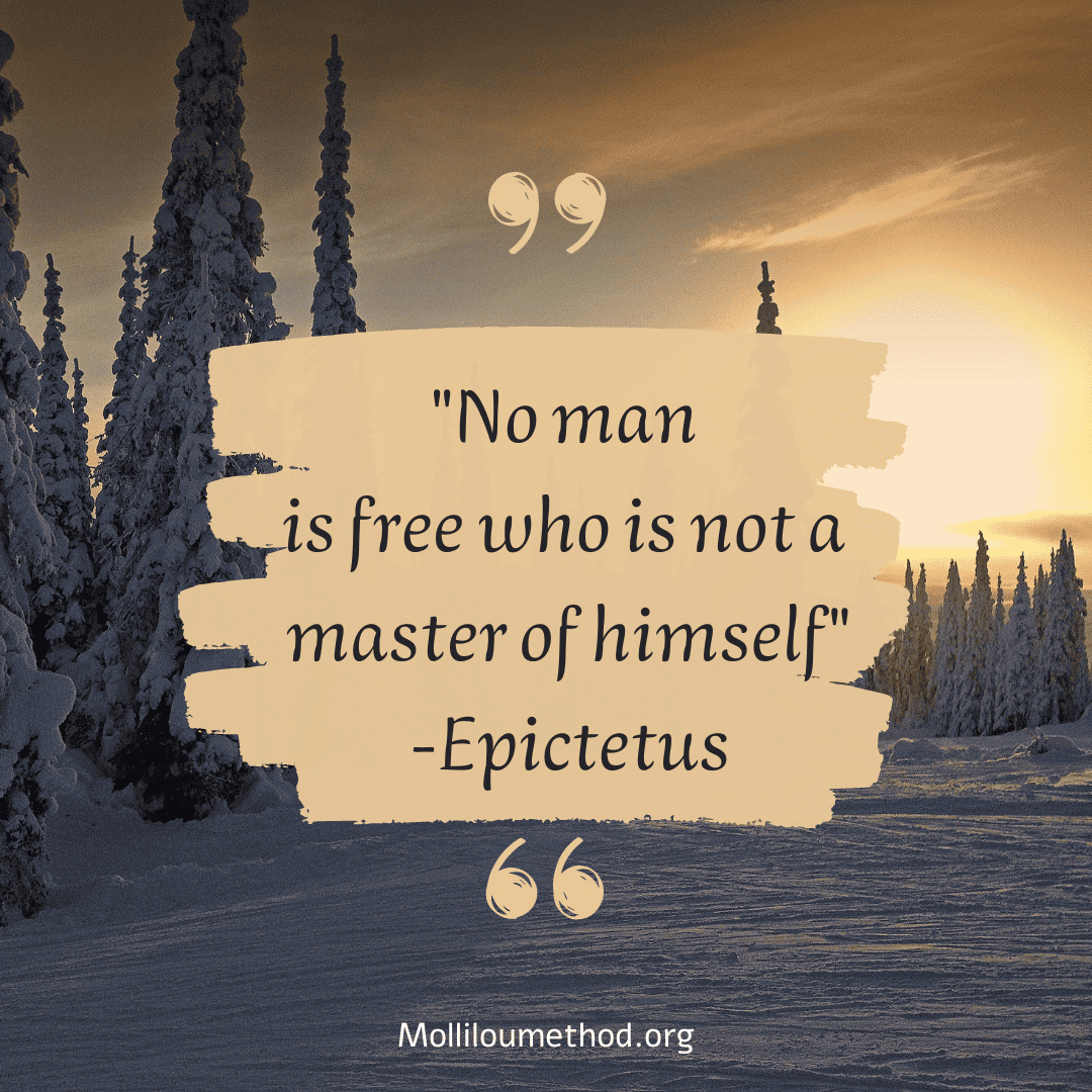 Renu Therapy Cold Stoic 2.0 Review 2023: Key to Health? - Strategy ...